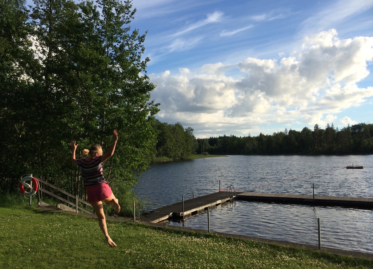 Jörg Dauscher | Östergötland: Gänse, Rehgips und Meditation